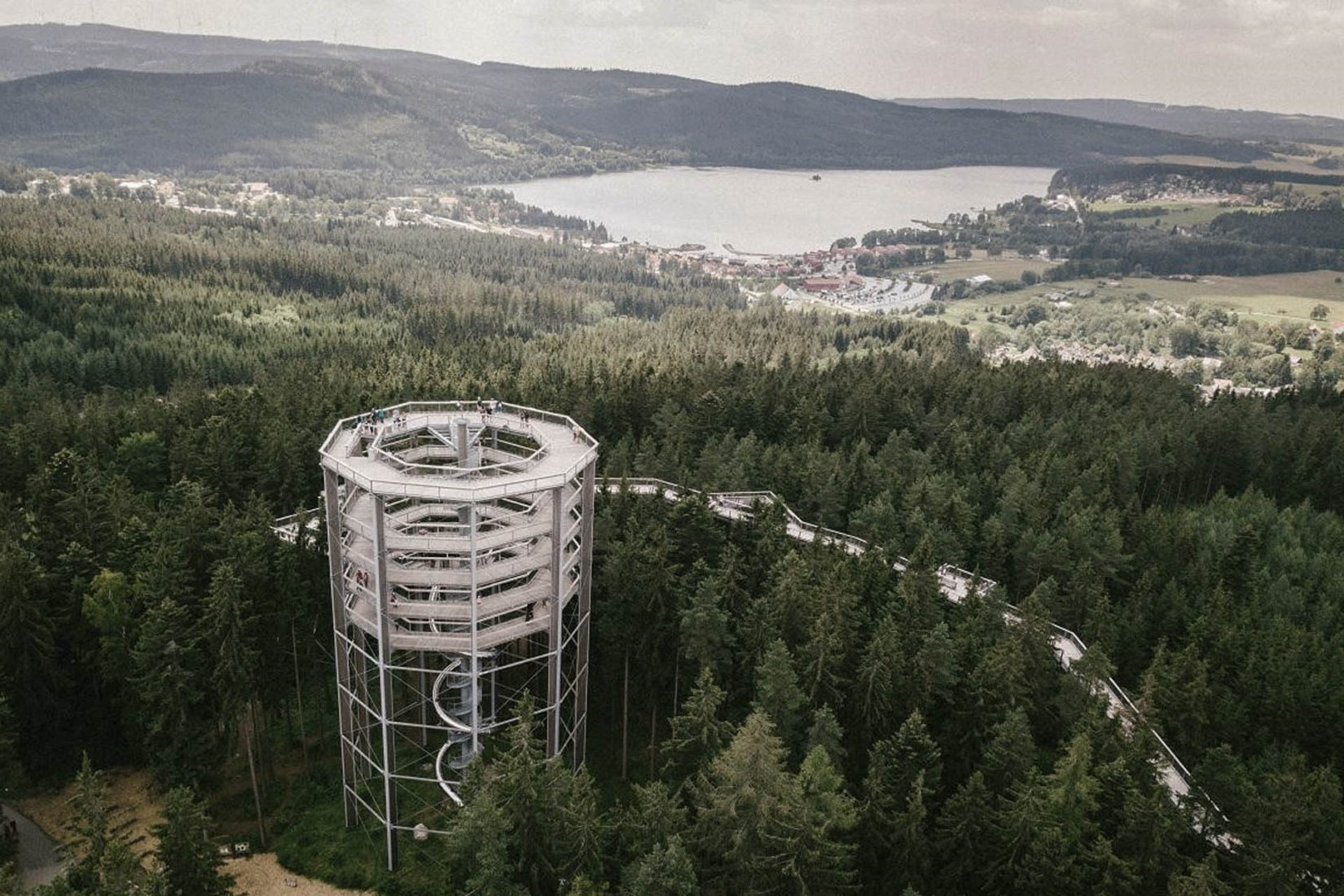 The World’s Best Tree Top Walks & Canopy Walkways (2021)