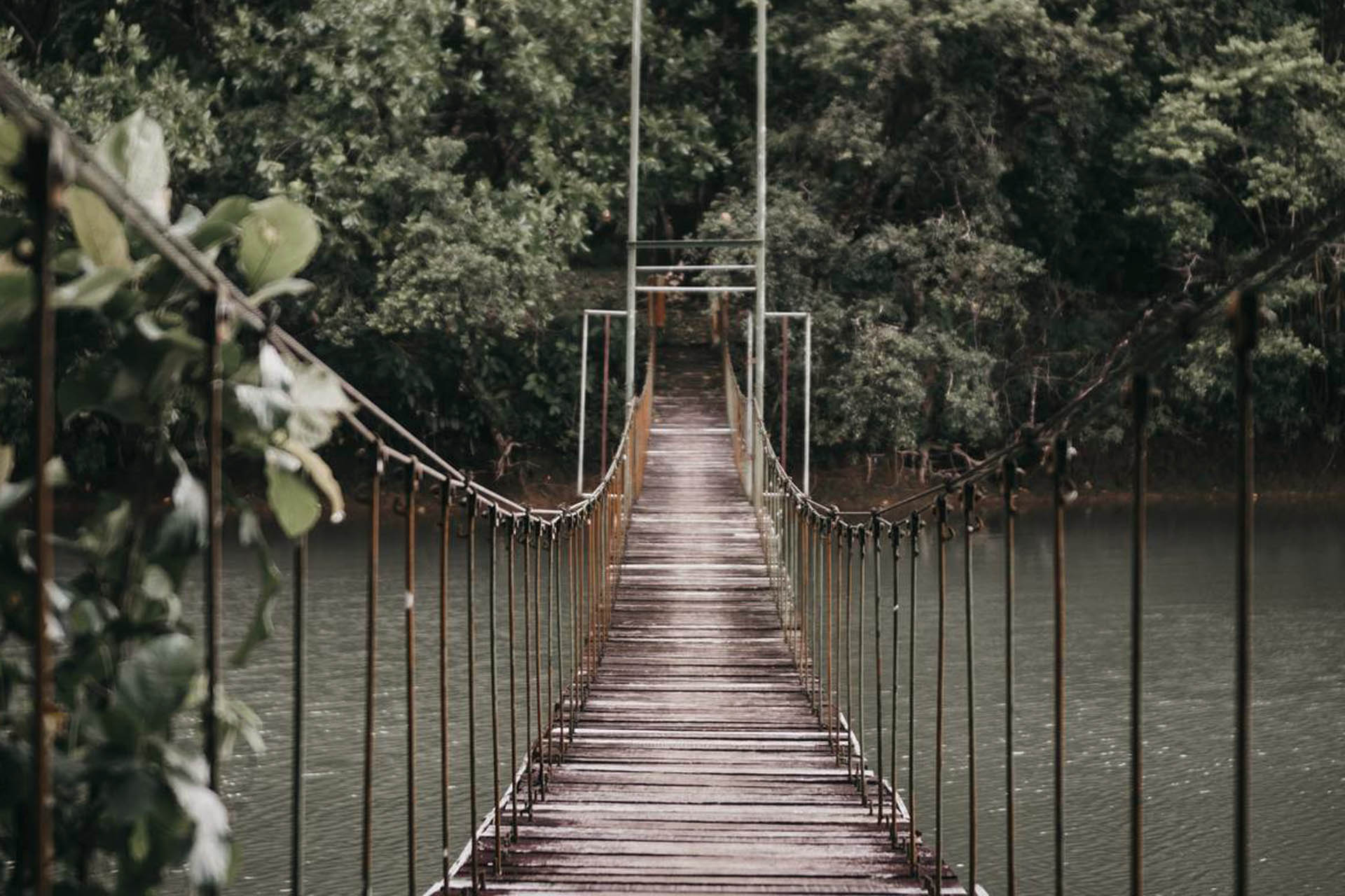 The World’s Best Tree Top Walks & Canopy Walkways (2021)