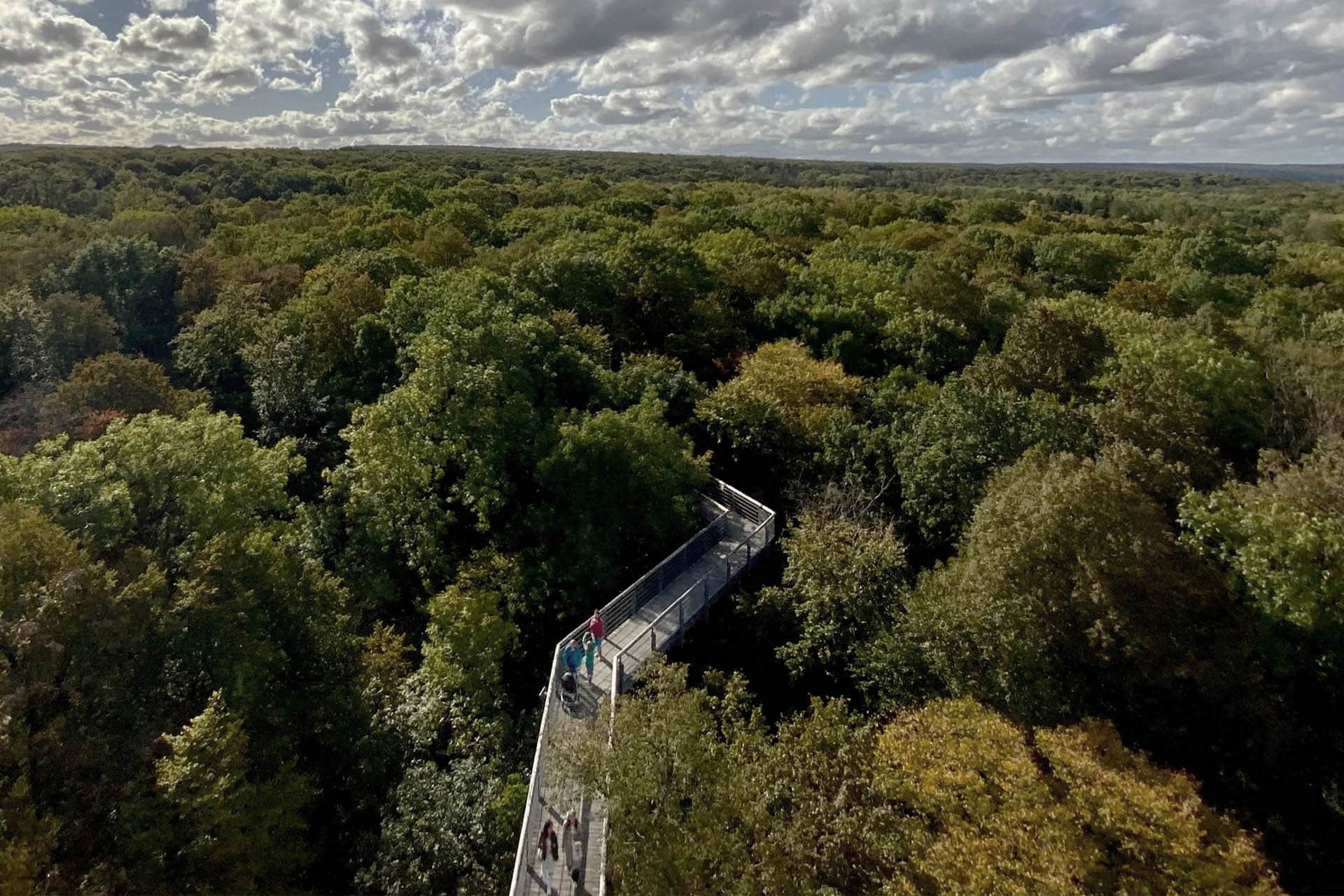 The World’s Best Tree Top Walks & Canopy Walkways (2021)