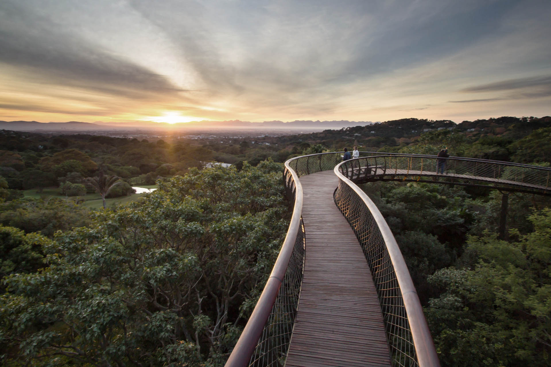 The World’s Best Tree Top Walks & Canopy Walkways (2021)